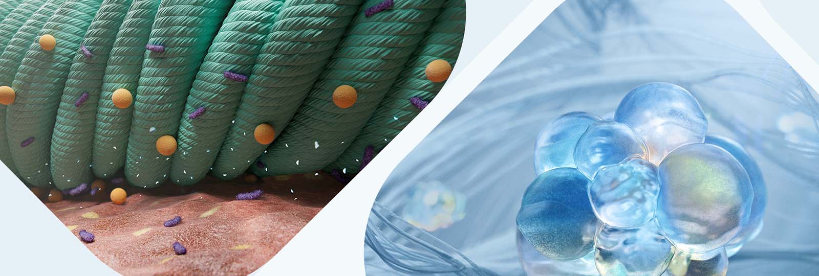 Advanced Wound Care for Hard-to-Heal Wounds | Cutimed