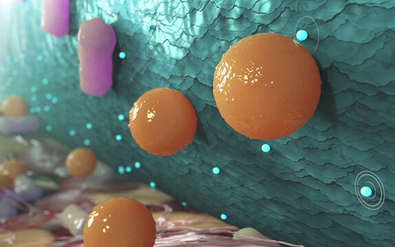 Cutimed® Sorbact® Swab—hydrophobic bacteria binding wound dressing