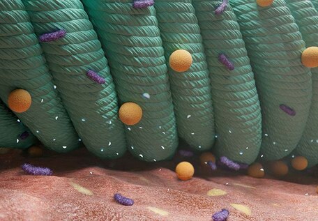 Wound Infection Prevention with Sorbact Technology | Cutimed